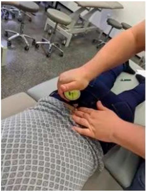 Biomedicines Free Full Text Neuromodulation Of The Autonomic