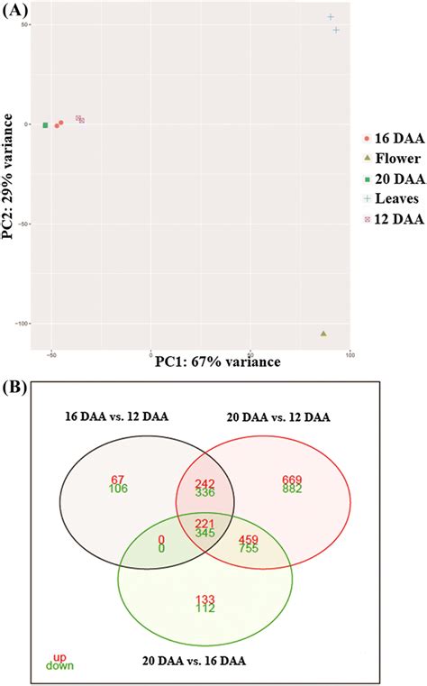 Clustering Analysis Of Rna Seq Samples And The Intersection Of