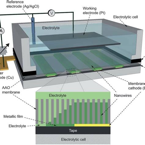 A Schematics Of The 3d And Cross Section Views Of The Three Probe Download Scientific Diagram