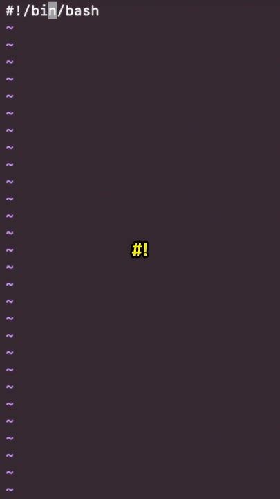 Belajar Dasar Bash Scripting Cara Membuat Shell Script Shorts Bashscripting Youtube