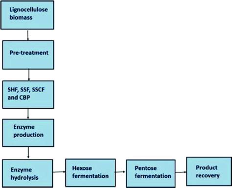 Technology Schematics Of Bioprocessing Of Lignocellulosic Biomass