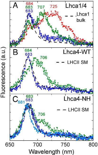 Figure 1 From Lipid Packing Drives The Segregation Of Transmembrane Helices Into Disordered