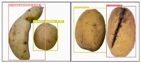 Potato Malformation Identification And Classification Based On Improved