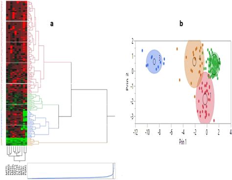 Cluster Analysis A And Principal Component Analysis Pca B Of 185 Download Scientific