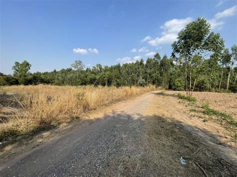 ขายที่ดินเกาะขนุน 1 ไร่ ใกล้ถนนเส้นสัตหีบ พนมสารคาม 331 1 2 กม พนมสารคาม ฉะเชิงเทรา ที่ดิน