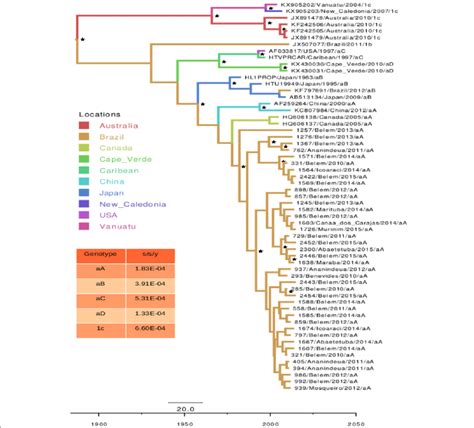 Molecular Clock Generated By The Sequences Of The Codifying Region Of