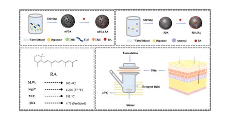 Nonporous Versus Mesoporous Bioinspired Polydopamine Nanoparticles For Skin Drug Delivery