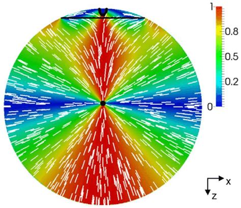 Computationally Predicted Equilibrium Director Configuration Of A 3