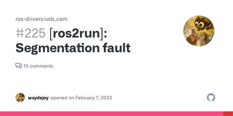 Ros2run Segmentation Fault · Issue 225 · Ros Driversusbcam · Github