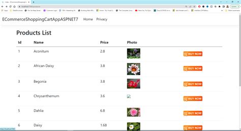 how to build an e commerce application with asp 7 mvc and mssql