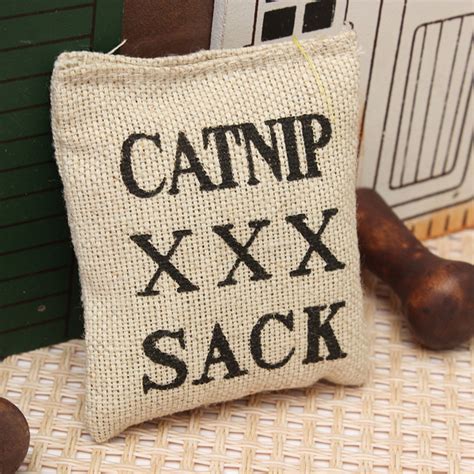 Pet Cat Kitty Kitten Toy With Catnip At Banggood Sold Out