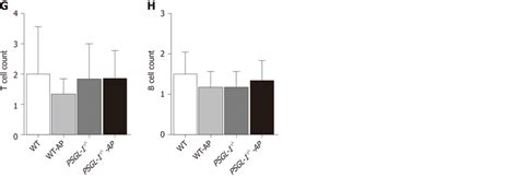 P Selectin Glycoprotein Ligand 1 Deficiency Attenuates Download Scientific Diagram