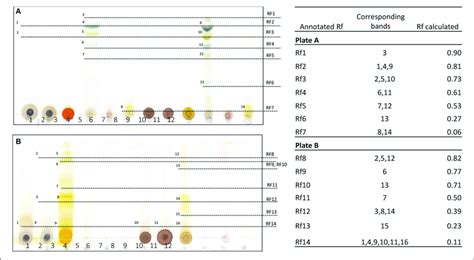 Thin Layer Chromatography And Calculated Retention Factor Rf Values Download Scientific