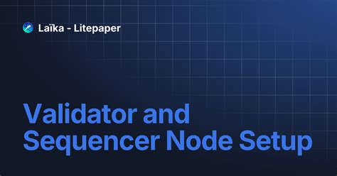 Validator And Sequencer Node Setup Laïka Litepaper