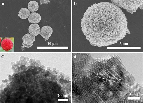A A Low Magnification Sem Image Of The Bayberry Like In2o3 Sample And Download Scientific