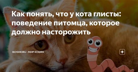 Как понять что у кота глисты поведение питомца которое должно насторожить Ikoshkiru Мир