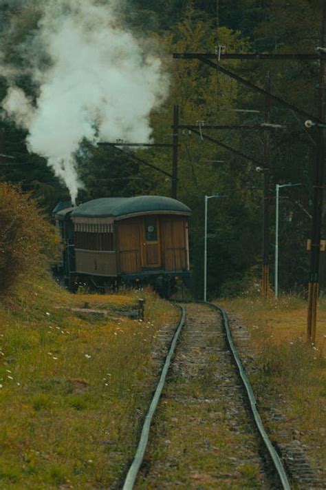 가을 색 가을 풍경 고전적 교통수단 고풍스러운 여행 교통 기관차 기차 모험 기차 여행 기차로 여행하다 기찻길 나무가 우거진 풍경 녹지 농촌 철도