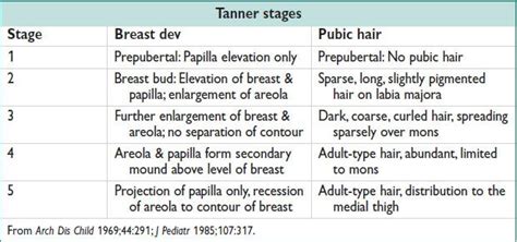 Breast Development Tanner