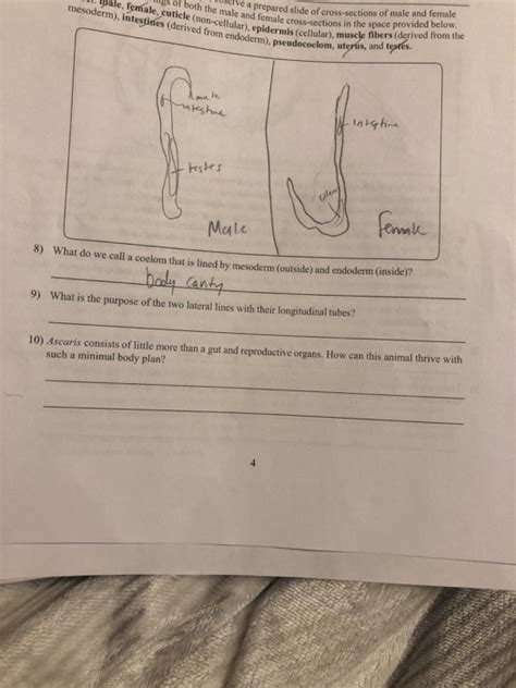 Solved And Chegg Com