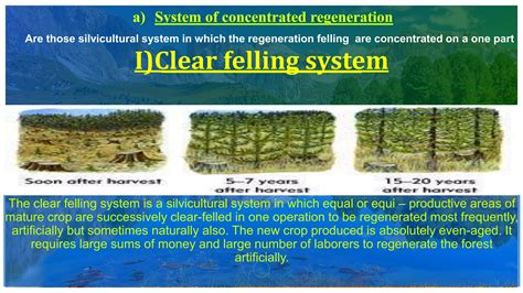 Silviculture System FOR201 PPTX