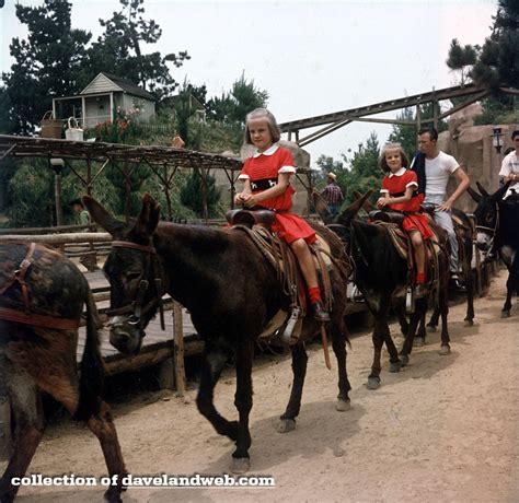 Davelandblog Creepy Pack Mule Girls