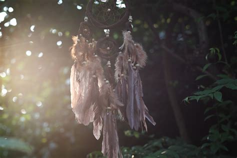 태양이 배경 Bokeh 자연에 설정에서 플레어 소프트 포커스 꿈 포 수 네이티브 아메리칸 드림 포 수입니다 Boho 세련 된 민족 부적 거미에 대한 스톡 사진 및 기타