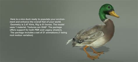 Birds Pack Characters Unity Assets Codeintra