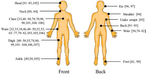Different Positions For Sensor Placement Download Scientific Diagram