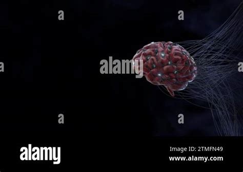 Brain Machine Interface Stock Videos And Footage Hd And 4k Video Clips