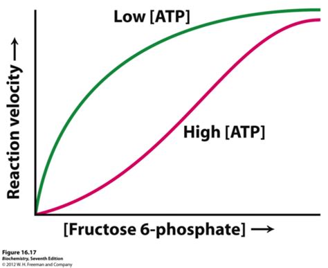 MCB Exam Homework Questions Flashcards Quizlet