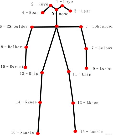 Yolov8 Pose的数据集标注yolopose 数据标注 Csdn博客