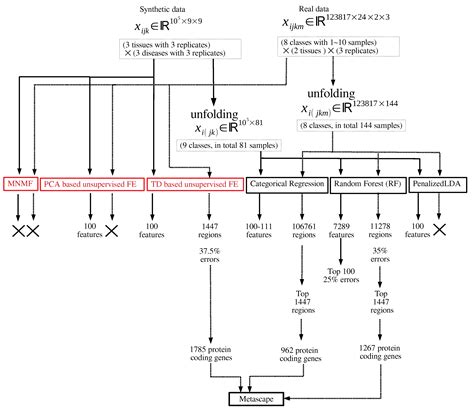 Tensor Decomposition Based Unsupervised Feature Extraction Applied To