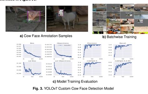 Figure 1 From Mitigating Training Bias In Cattle Breed Identification Through Orientation Aware
