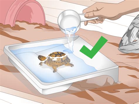 How To Create An Indoor Box Turtle Habitat With Pictures