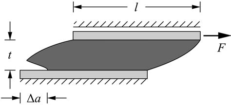 Silicone Adhesive Joint With Finite Crack ∆a And Rigid Adherends Download Scientific Diagram