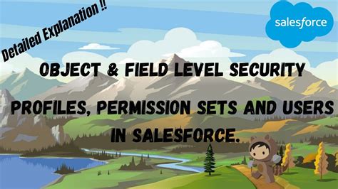 Object And Field Level Security In Salesforce Profiles Permission
