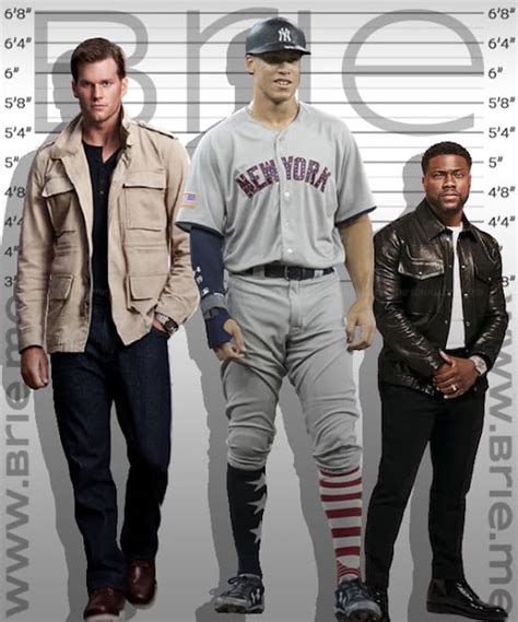 Aaron Judge Height Brie