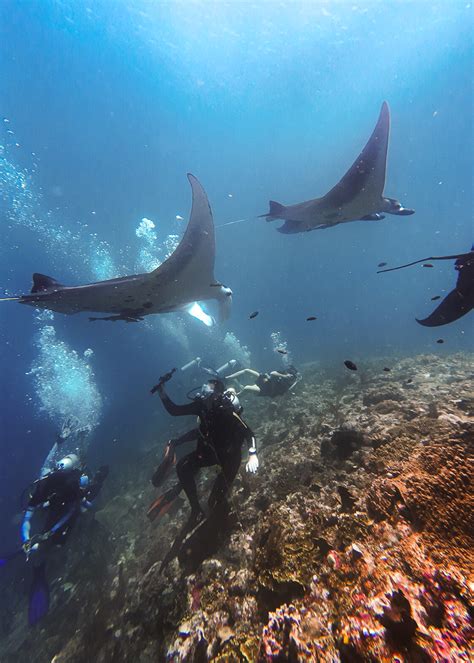 10x To Do In Raja Ampat Sightseeing Raja Ampat