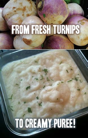 Turnip Puree Recipe Super Buttery Balanced Bites Turnip Puree Recipe Super Buttery Balanced Bites
