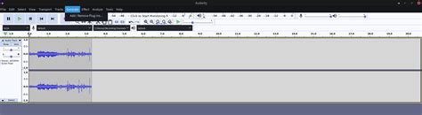 Plugins Are Not Getting Enabled · Issue 13 · Tenacityteamtenacity