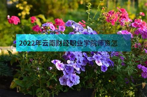 2022年云南财经职业学院师资怎么样 职教网