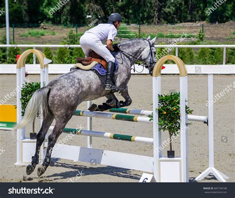 Dapple Grey Thoroughbred Jumping