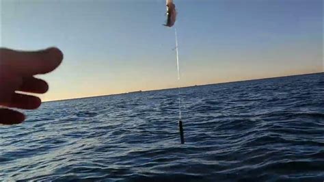 Рыбалка в Черном море на ставриду 1 01 24 Youtube