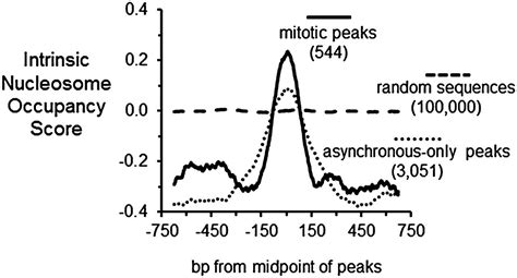 Bookmarking By Specific And Nonspecific Binding Of Foxa1 Pioneer Factor To Mitotic Chromosomes