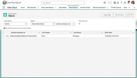 Exercise 5 Create A Unified Profile Salesforce Developers