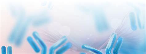 What Is Rheumatoid Factor Medhub