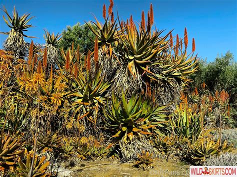 Groovygabs Nude Onlyfans Instagram Leaked Photo 287