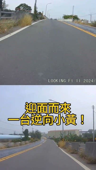 職業駕駛人請尊守交通規則好嗎 小黃 職業駕駛 逆向 雙黃線 Youtube