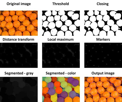 OpenCV Projects Image Segmentation With Watershed Algorithm