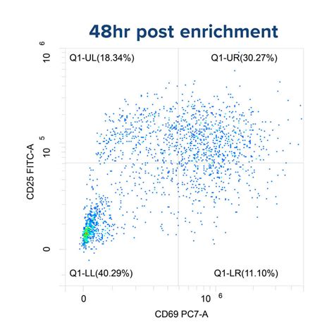 Cd3 Cd28 T Cell Isolation Applied Cells